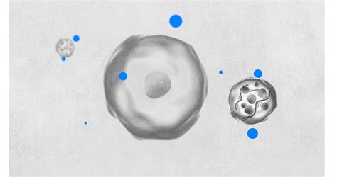 Health In Motion Stem Cells Behance