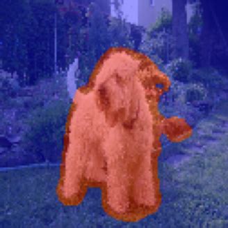 GitHub Kaijaz Semantic Segmentation