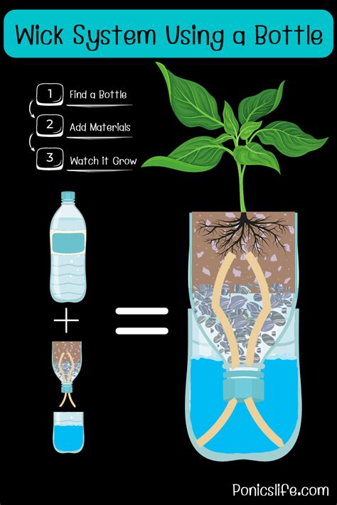 What Is The Wick System In Hydroponics