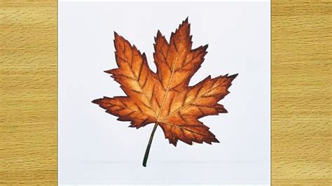 How To Draw Maple Leaf Easy Step By Step Maple Leaf Drawing Shorts