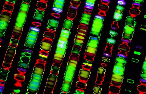 The Advantages Of Using Multiplex PCR For The Simultaneous Detection Of Sexually Transmitted