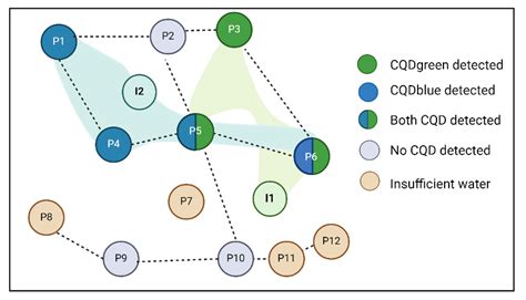 Simultaneous Detection Of Carbon Quantum Dots As Tracers For Interwell Connectivity Evaluation