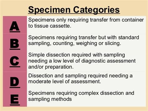 Histopathology In Practice Sample Reception Dissection Processing…