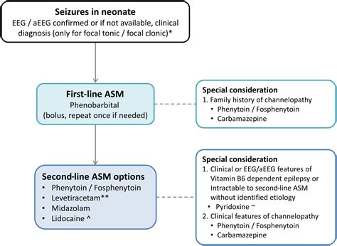 Neonatal Seizure Medications