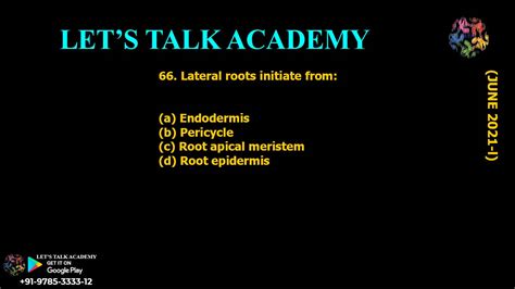 Understanding The Origin Of Lateral Roots In Plants Csir Net Life Science Coaching Nta Net