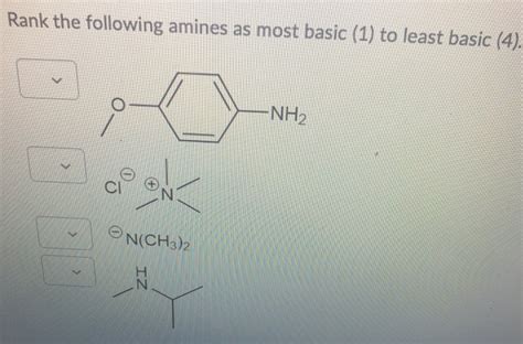 solved rank the following amines as most basic 1 to least