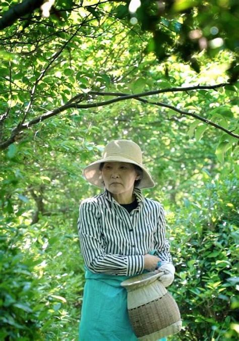 녹차의 맛 2022 왓챠피디아