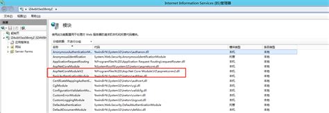 Dotnet Netcore Web Api 部署 Iis Windows 部署 Windows Server 超级无敌美少男战士 博客园