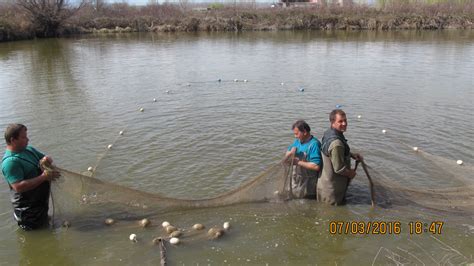 Нови риби от езерото