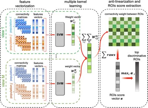 identification of the top discriminative rois using multiple kernel
