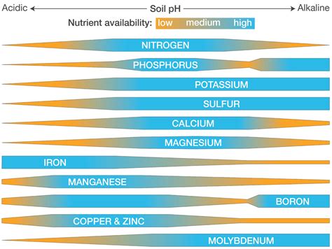 Soil Ph Nutrient Availability Chart Untitled