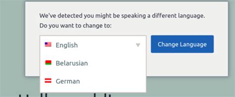 Automatic User Language Detection In TranslatePress TranslatePress