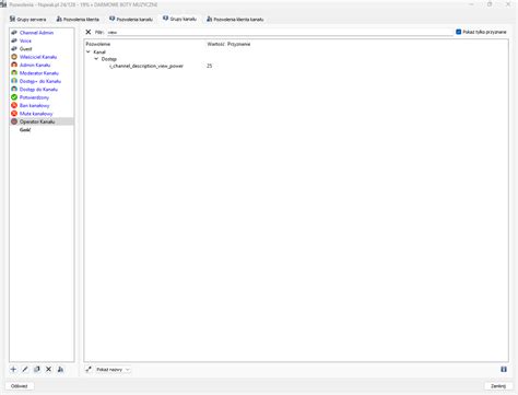 Ts5 Client Permission Error Problem Permissions Teamspeak