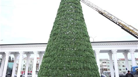 ქუთაისში წელს ორი ნაძვის ხე მოირთვება Youtube