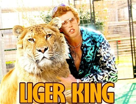 Napoleon Dynamite Memes