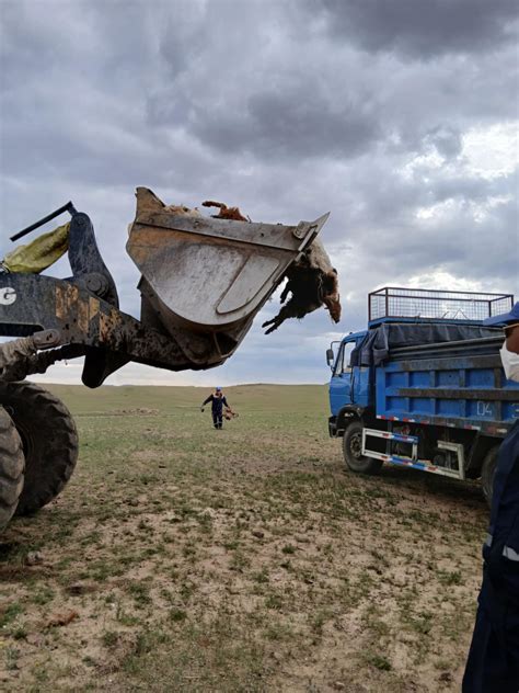 Арвайхээр хот тойрсон сэг Арвайхээр Тохижилт Үйлчилгээ Facebook