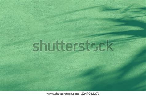 Green Grass Texture Shadow Tree Background Stock Illustration 2247082271 Shutterstock
