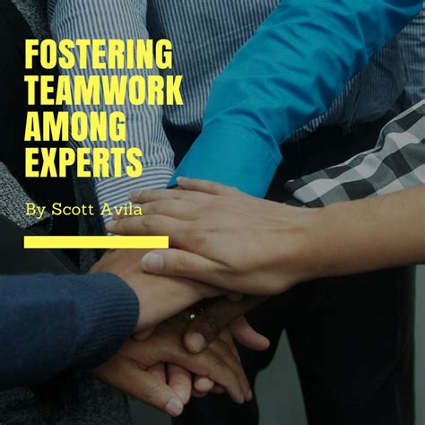 Fostering Teamwork Among Experts Scott Avila