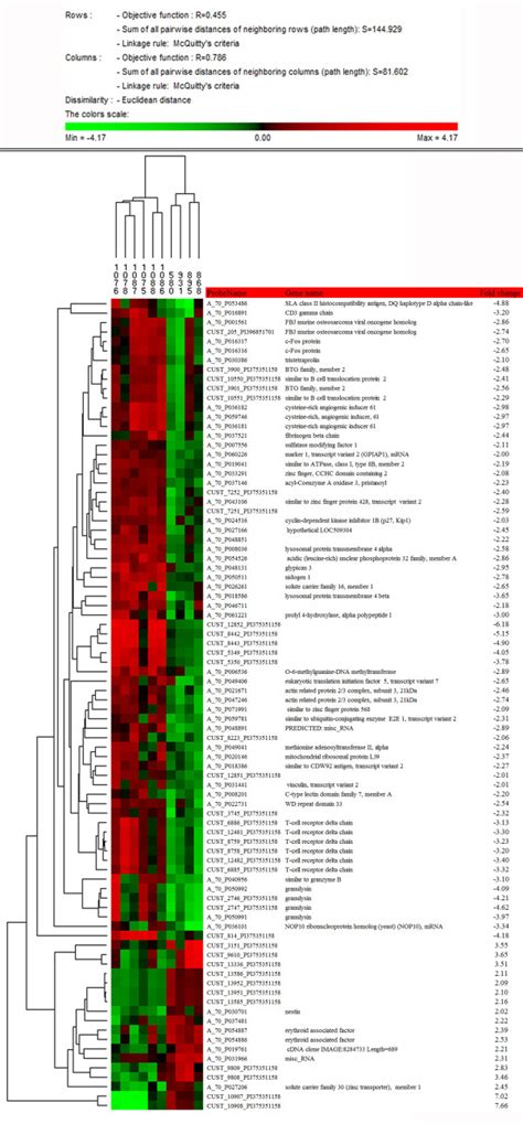 condition trees of the clustering analysis download scientific diagram