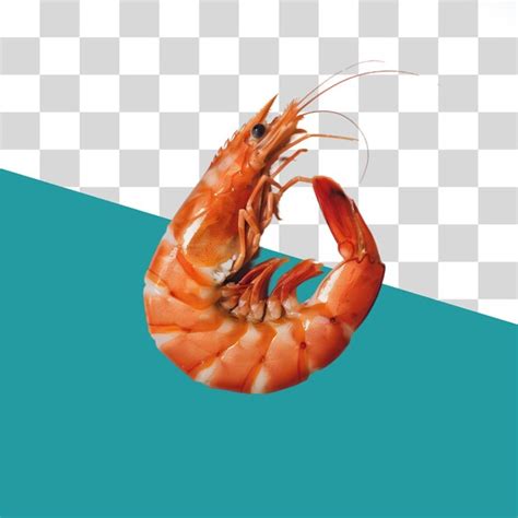 Prawn On Isolated Premium Ai Generated Psd