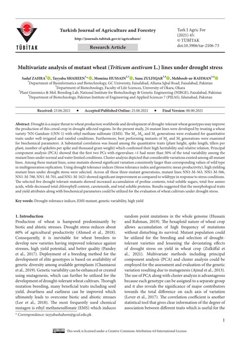 Pdf Multivariate Analysis Of Mutant Wheat Triticum Aestivum L