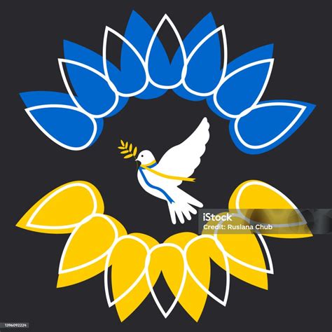 평화의 하얀 비둘기는 검은 배경에 우크라이나 국기의 국가 색상으로 해바라기 꽃잎으로 둘러싸여 있습니다 우크라이나에 평화 벡터 0명에 대한 스톡 벡터 아트 및 기타 이미지