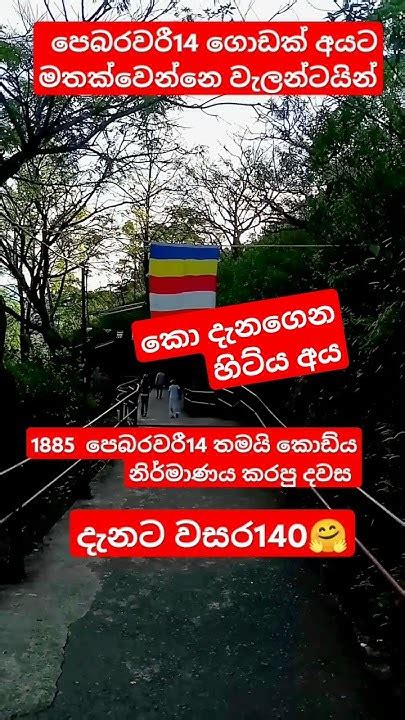 🙏ගොඩක් අයට මේ දවස වැලන්ටයින් උනාට අපිට මේ බෞද්ධ කොඩිය නිර්මාණය වු දවස 😌 🇱🇰 Travel Srilanka Youtube