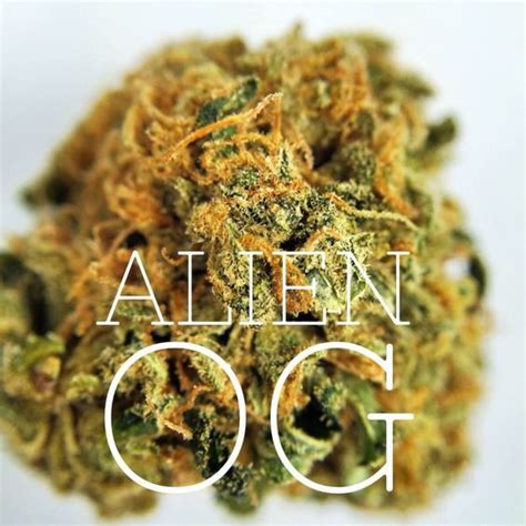 Buy Alien Og Weed Strain Online Buy Weed Online Fast Worldwide Shipping