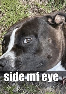 Side Eye S Tenor
