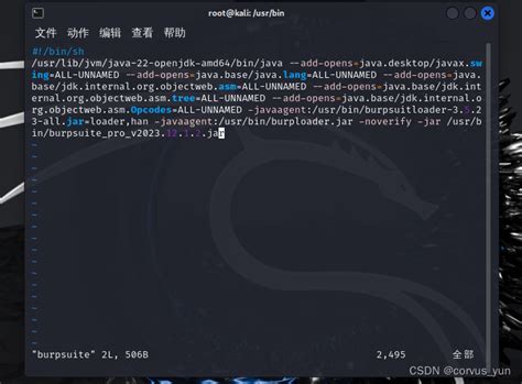 kali linux2024安装，破解burpsuite2023专业版 kali burpsuite2023 csdn博客