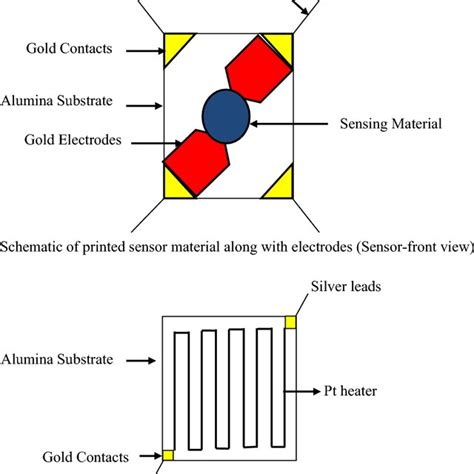 the typical schematic of front and rear view of tin oxide semiconductor