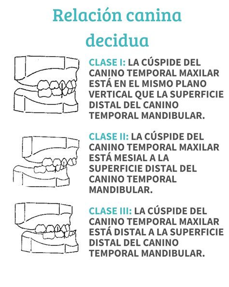 Yo Dentista 📖sistema De Clasificación Dentaria
