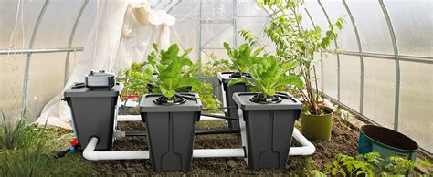 Rdwc Hydroponics Grow System 4 Site Reservoir 7 Gallon Top Drip Recirculating
