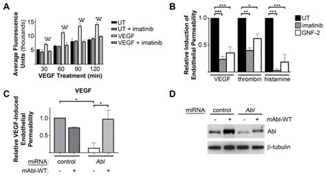 A Evaluation Of Endothelial Monolayer Permeability As Assessed By
