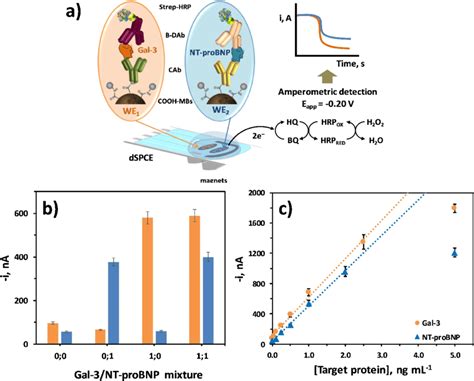 Scheme And Reactions Involved In The Mbs Based Dual Immunoplatform For Download Scientific