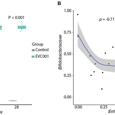 A Absolute Quantification Of B Infantis By Qpcr The Data Are Download Scientific Diagram