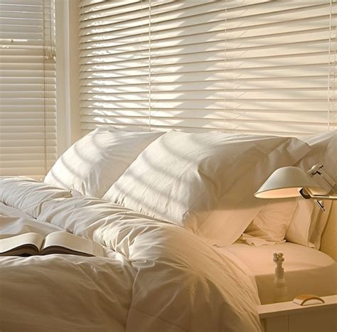 Buy Energy Efficient Window Blinds In Placentia Ca