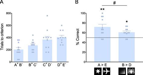 Validation Of Our Refined Visual Transitive Inference Task A Trials To
