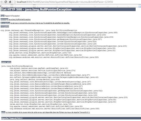web services how can i resolve this etat 500 java lang