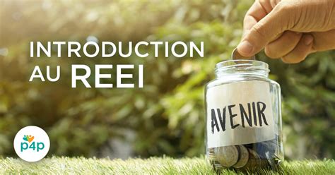 Partners For Planning What Is An Rdsp French