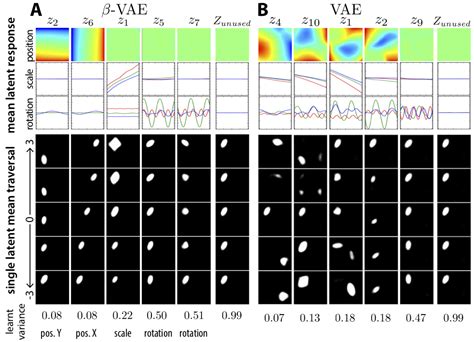 Disentangling A Latent Space Jacob C Kimmel