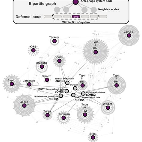 Figure S1 The Abundance Of Each Antiphage System In All Genomes Download Scientific Diagram