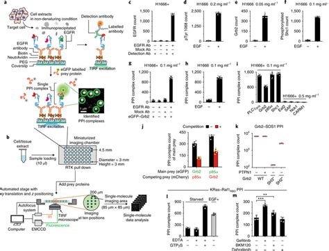 Single Molecule Analysis Of Signalling Complexes And Ppis A Schematic