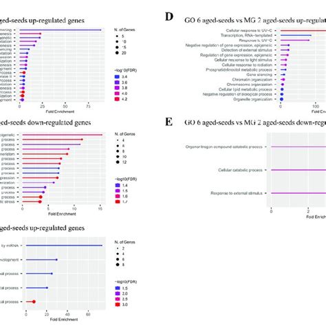 Gene Ontology Go Enrichment Analysis Ab Enrichment Analysis Of