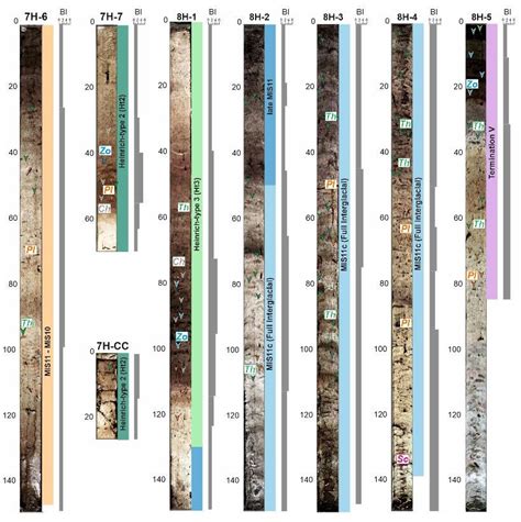 Schematic Representation Of The Trace Fossil Assemblage And Download Scientific Diagram