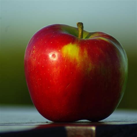 Premium Photo Close Up Of Red Apple