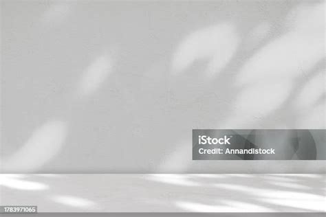 스튜디오 배경 그림자 나뭇잎이 있는 흰 벽 바닥에 빛 햇빛 반사 질감이 있는 빈 외부 콘크리트 거친 Sureface가 있는 벽 시멘트에 흰색 페인트 제품 선물 배경 0명에