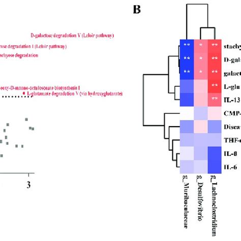 Differential Taxa Metabolic Pathways And Correlation Analysis A