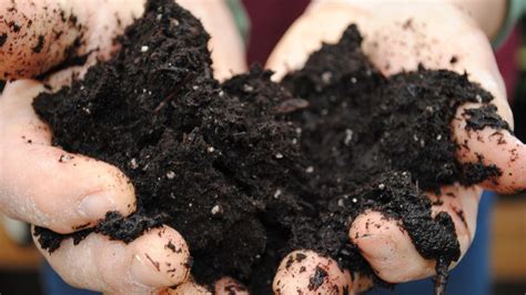 Soil Bacteria Offer Clues To Curbing Antibiotic Resistance Our World
