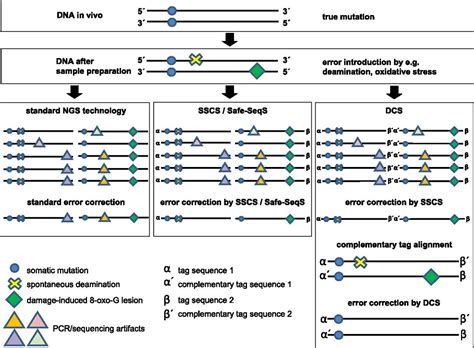 sequence error storms and the landscape of mutations in cancer pnas